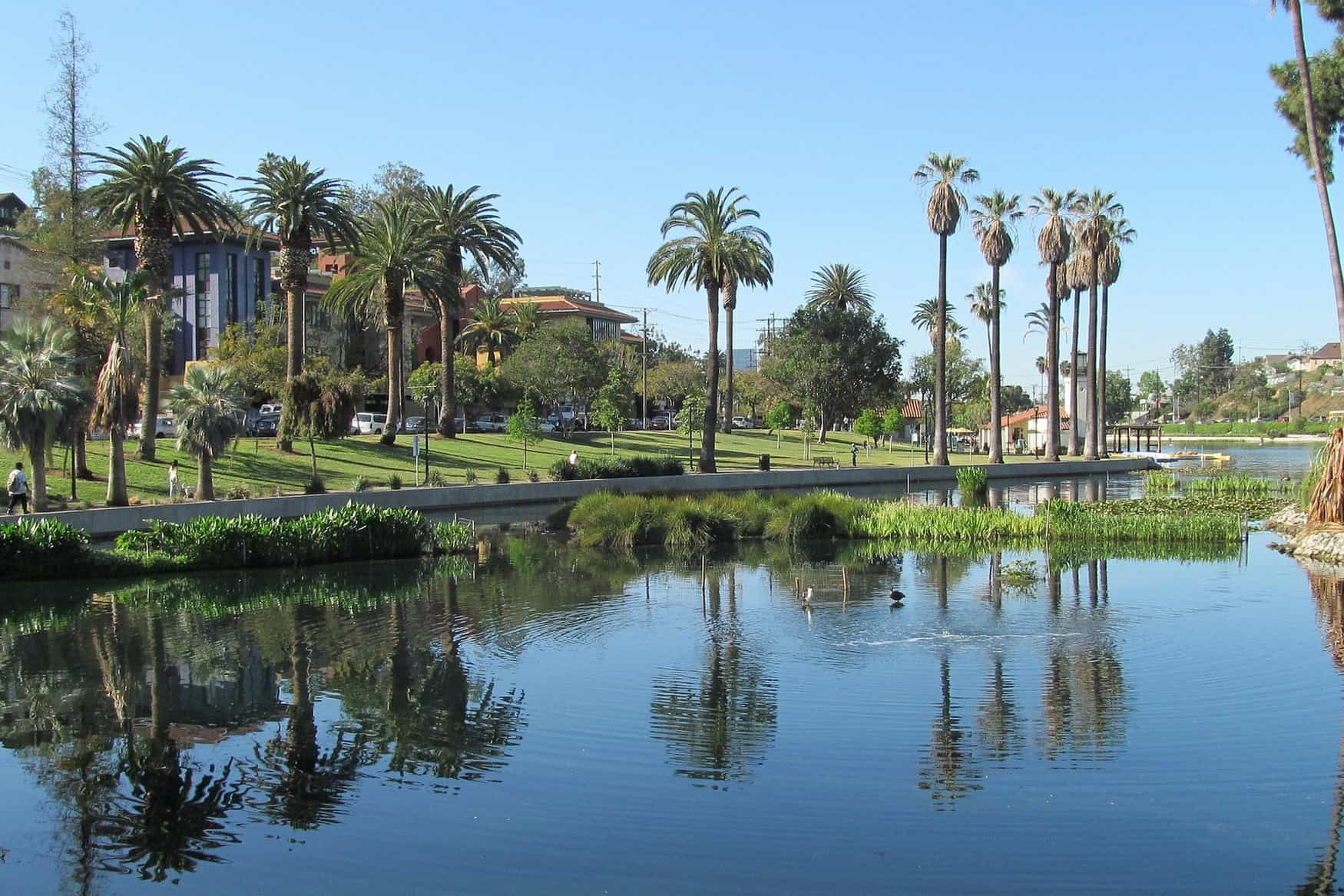 Family Trip to Los Angeles 2026: Complete Family Vacation Guide | Kidvoyage
